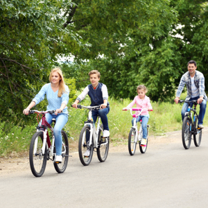 Diözese Sankt Pölten